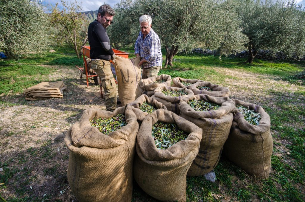 5 Reasons to Visit Crete in the Fall - Curated Greece